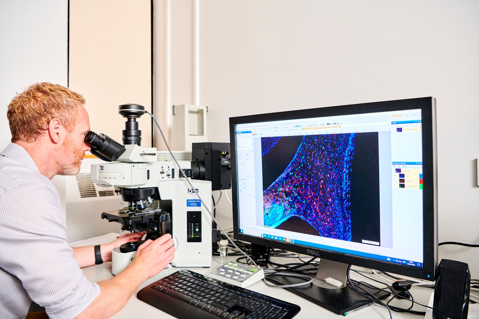 What is a Bachelor’s degree? | Degree titles explained