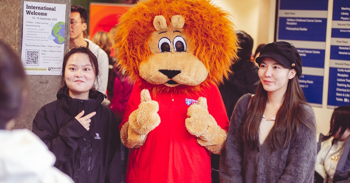 International student societies: how to make friends at university
