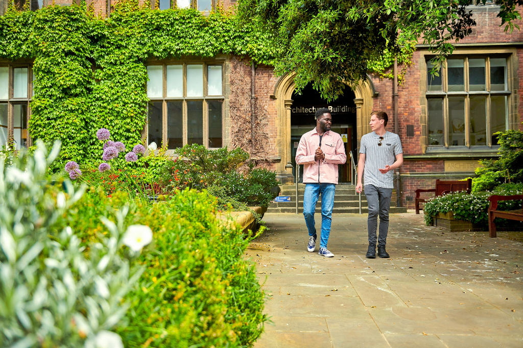 This is the Difference Between Undergraduate & Postgraduate